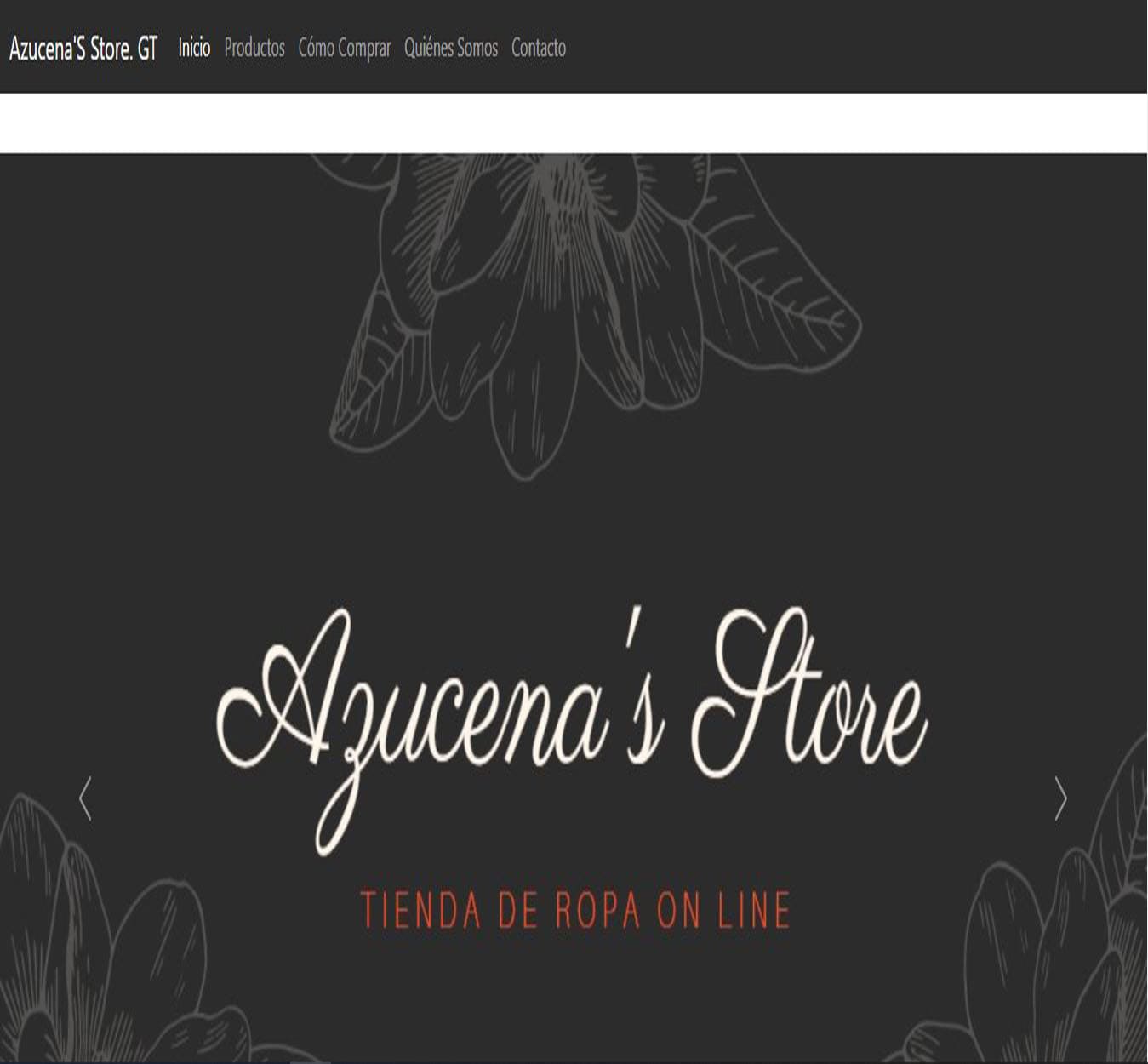 Portafolio - Angel Goitia